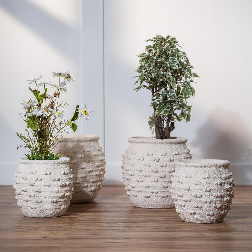 Buy Quince Quirk Cement Pot Online at Living Shapes | LS-0423 (Large)