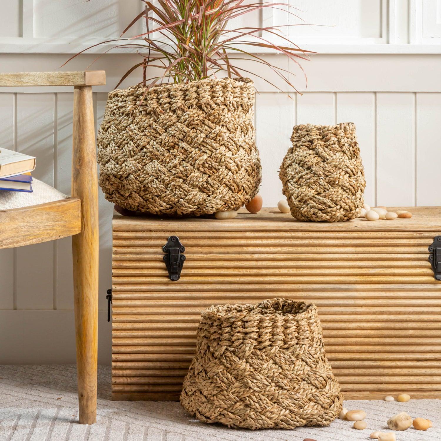 Buy Victoria Studio Basket Online at Living Shapes | LS-0011
